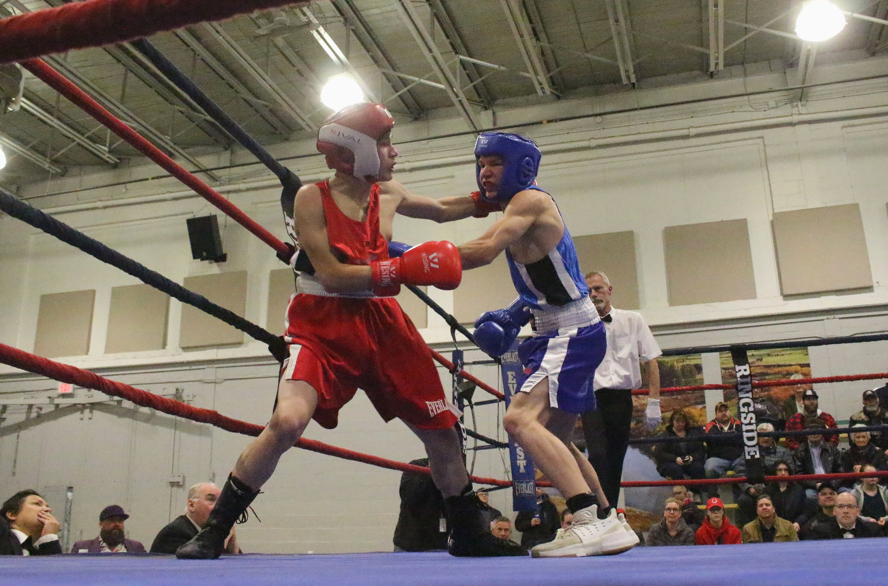 Swift's Fehr-Spence, Toye Represent Southwest at Boxing Provs ...