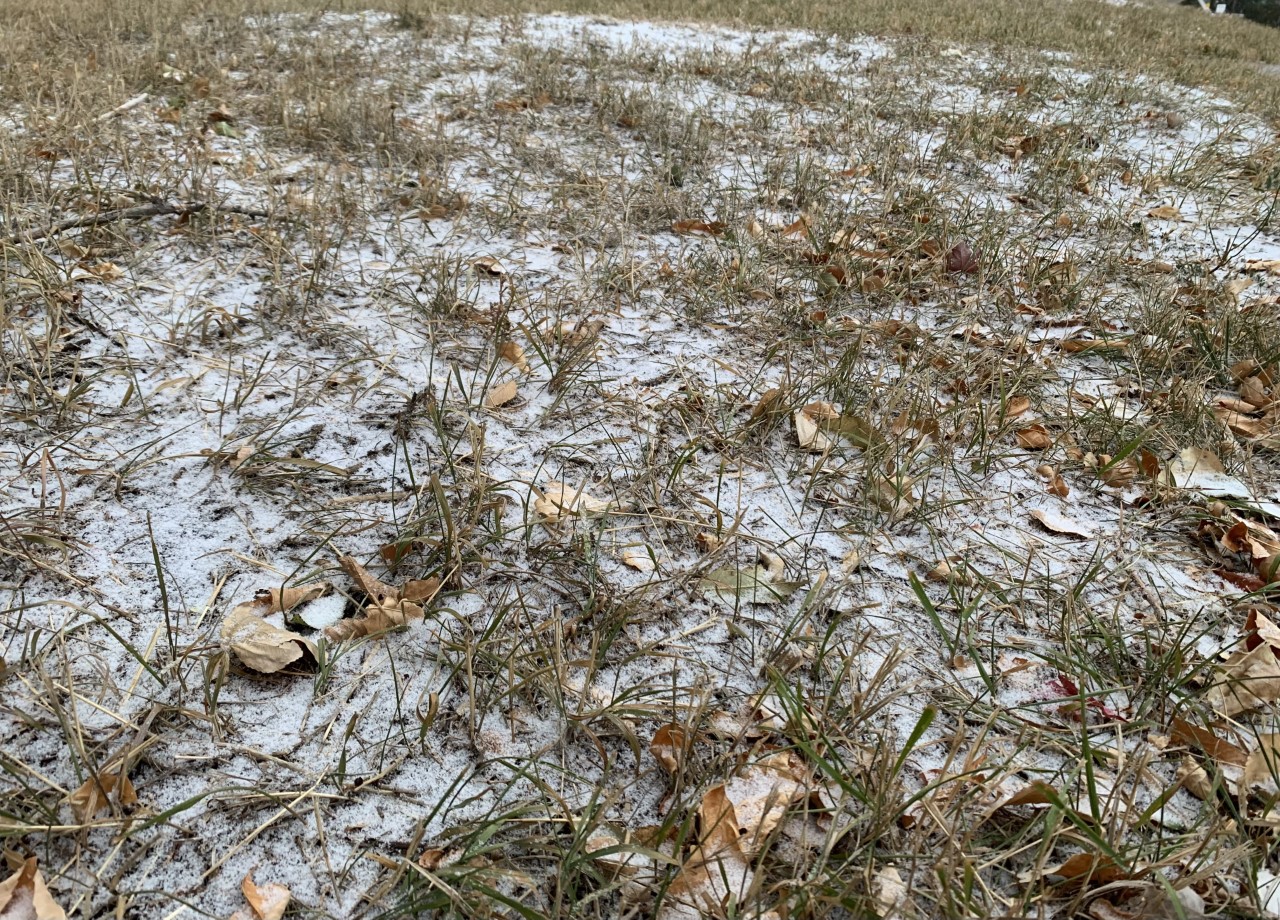 Warm Weather to Upend Brief Snowfall - SwiftCurrentOnline.com - Local ...